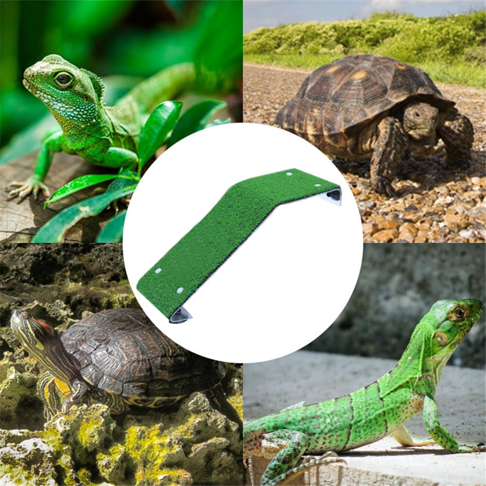 Turtle Climbing Ladder Climbing Platform Crawler T... – Grandado