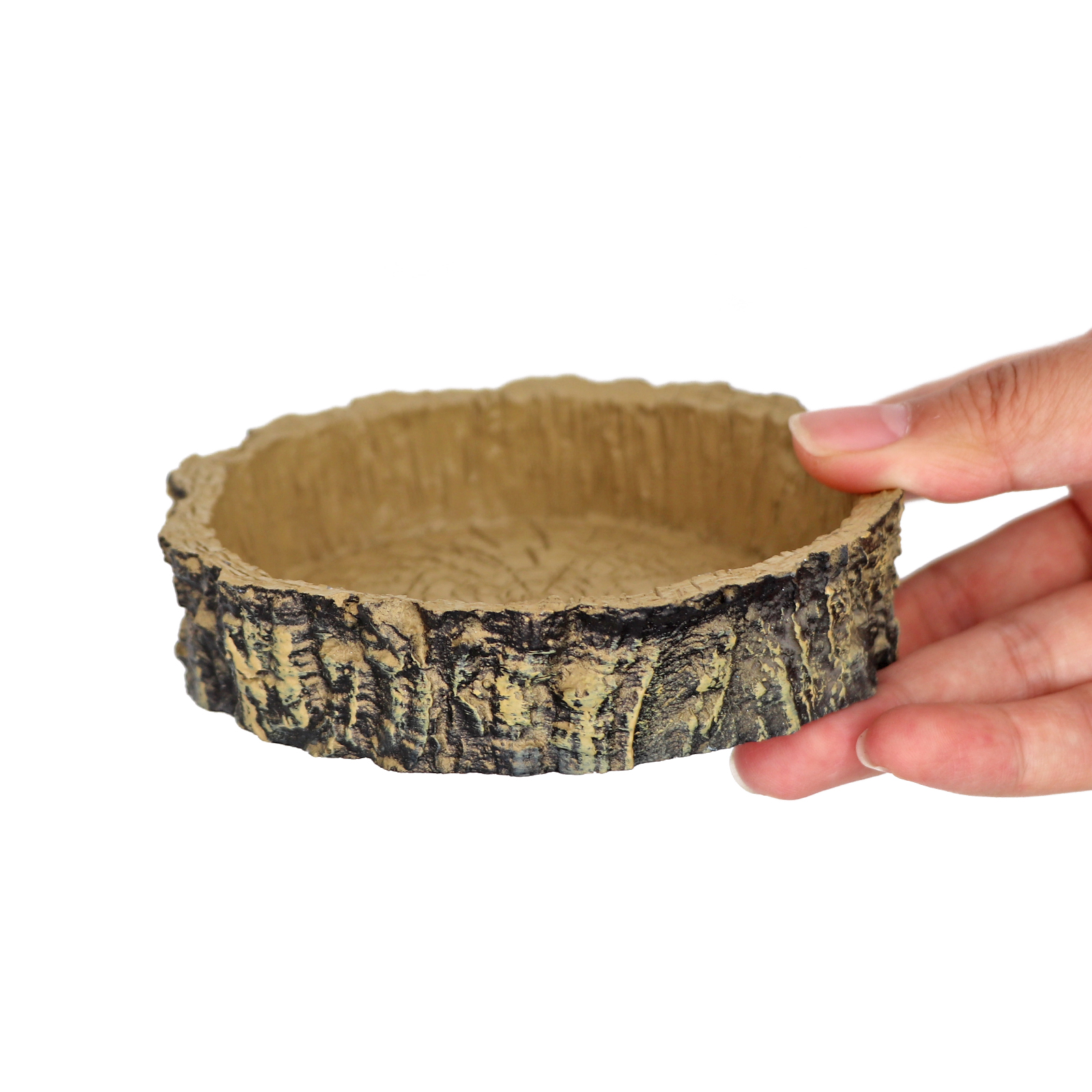 Reptile Food Water Bowl Resin Reptile Rock Bowl Fo... – Grandado