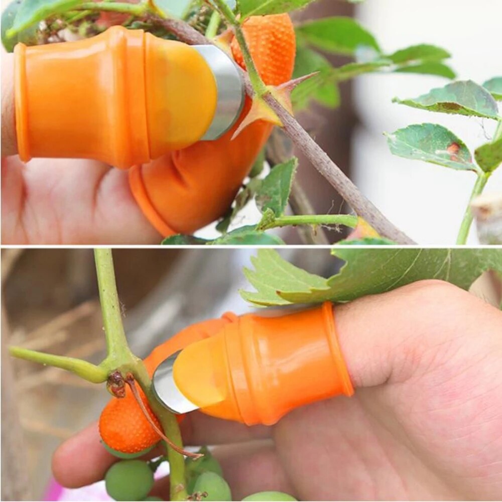 Fruit Picker Pickle Pepper Pickle Tip Picker Iron ... – Grandado