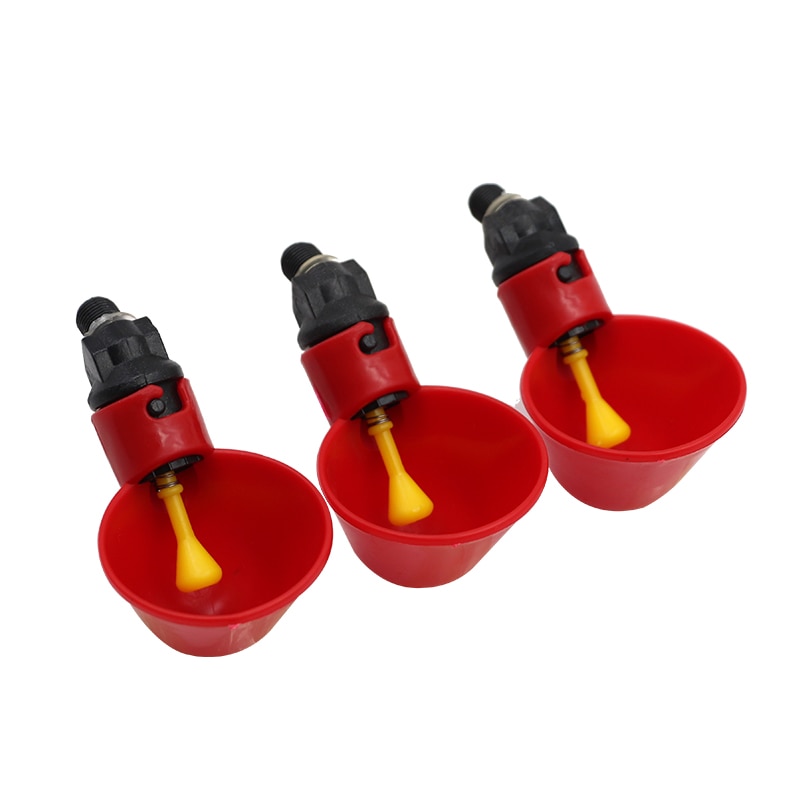2PCS Chicken Automatic Drinker Quail Chicken Water... – Grandado