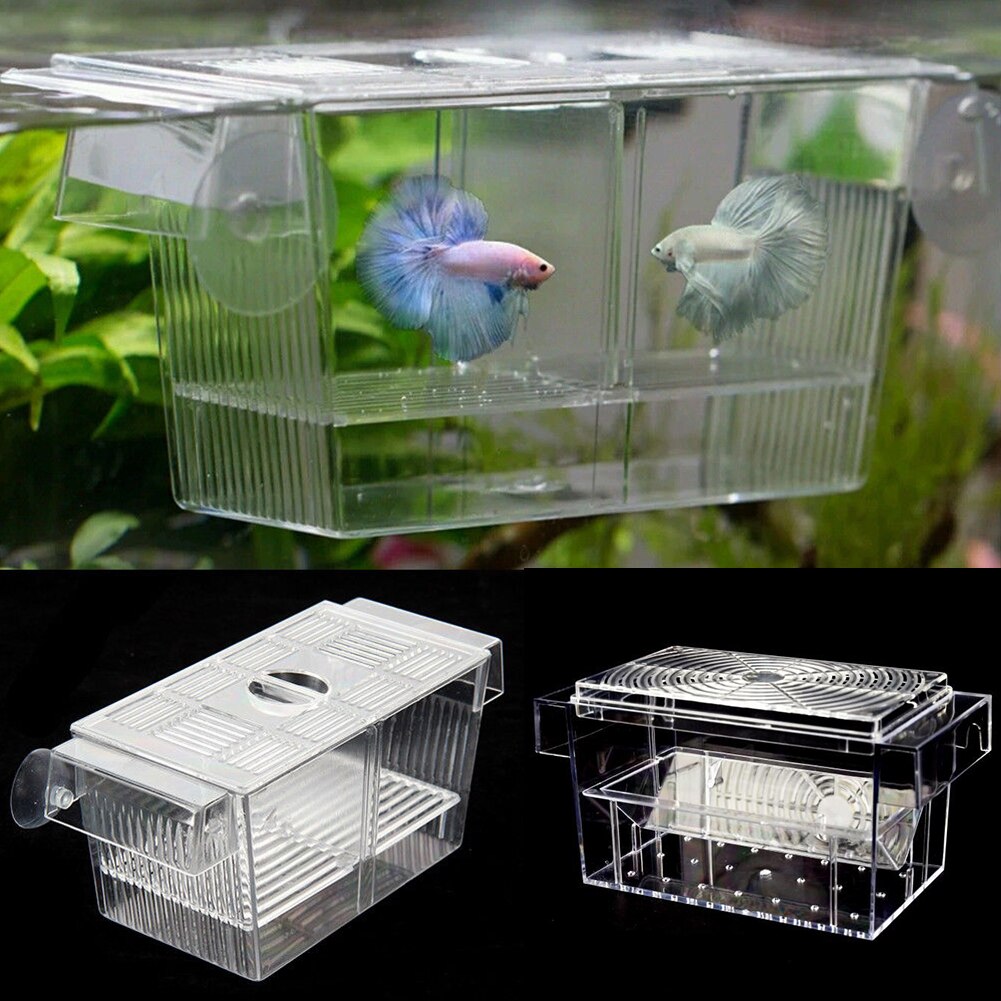 Transparent Fish Breeding Box Guppies Isolation Aq... – Vicedeal