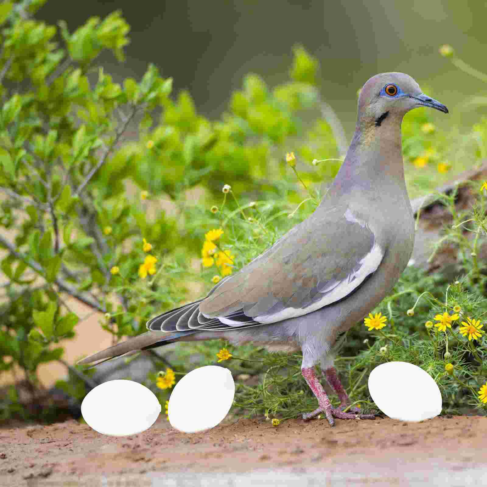 20pcs Lifelike Simulation Pigeon Egg Pigeon Laying... – Grandado