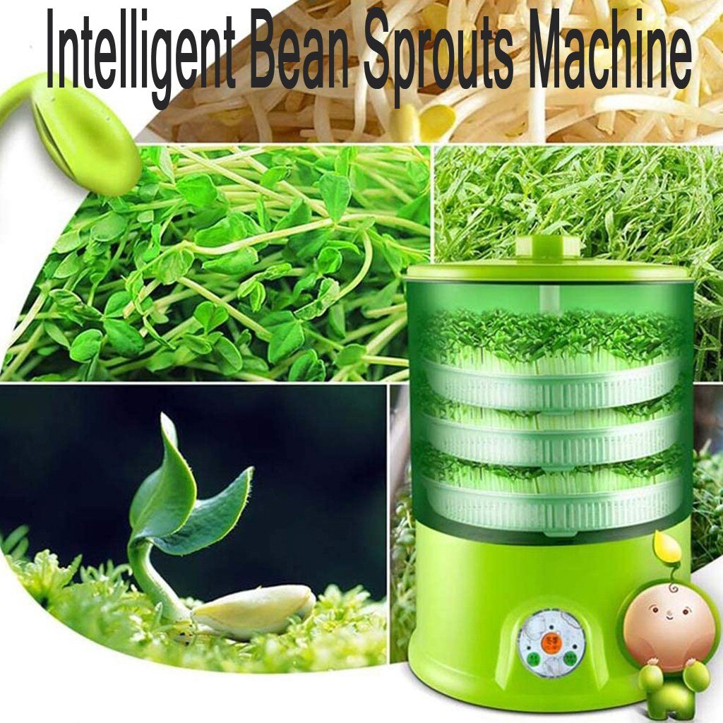40# Bean Sprouts Maker Thermostat Green Vegetable ... – Grandado