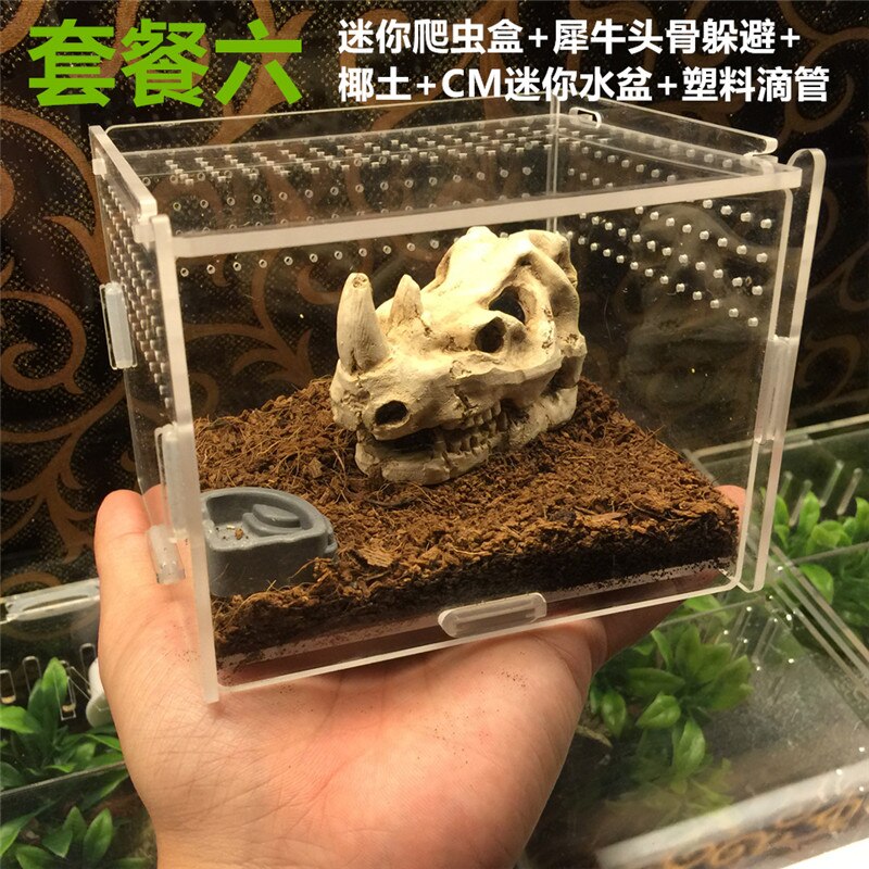 Small Size Reptile Tank Insect Spiders Tortoise Li... – Vicedeal