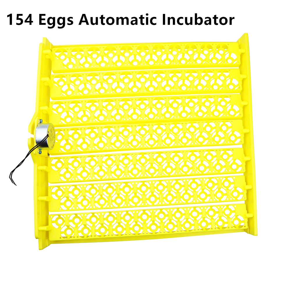 Automatic Turning Incubator Egg Tray Hollowed Brea... – Grandado
