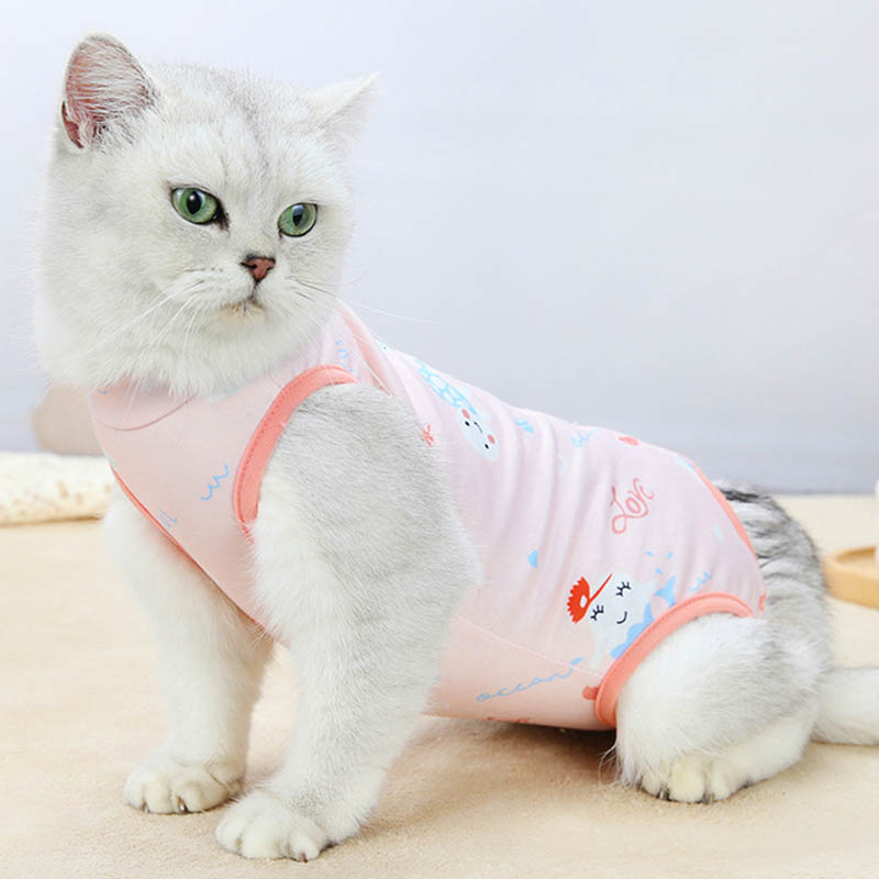 Spring Summer Cat Sterilization Suit Anti-licking ... – Grandado