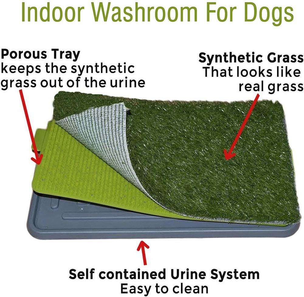 3-layer Outdoor Indoor Potty Training Tray Large D... – Grandado