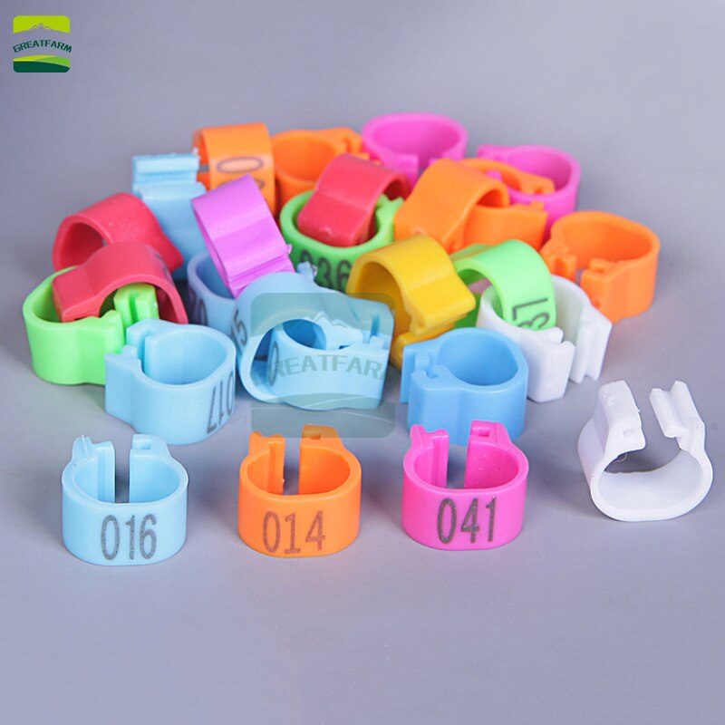 Duif Voet-Ringen 100 Pcs Multicolor Vlees Duif Mar... – Grandado