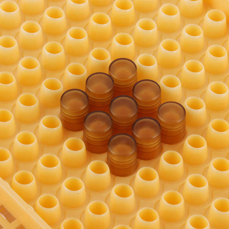 power tool beekeeping Bee Rearing Box Cage Plastic... – Vicedeal