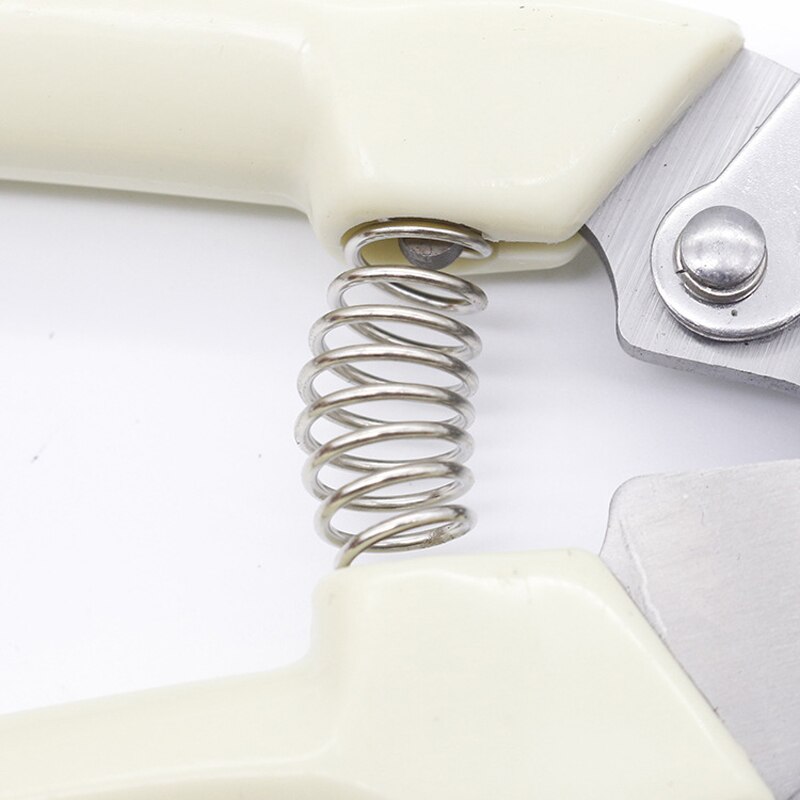 Pruning Scissors SK5 Grafting tool Gardener Scisso... – Grandado