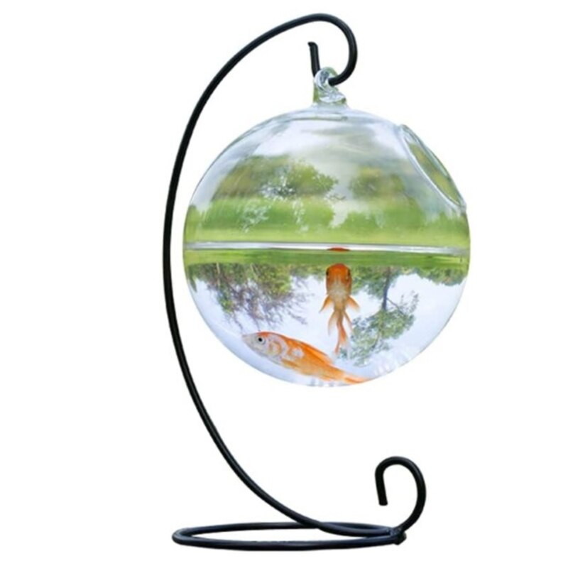 Transparent Spherical Glass Handmade Fish Tank Rou... – Grandado
