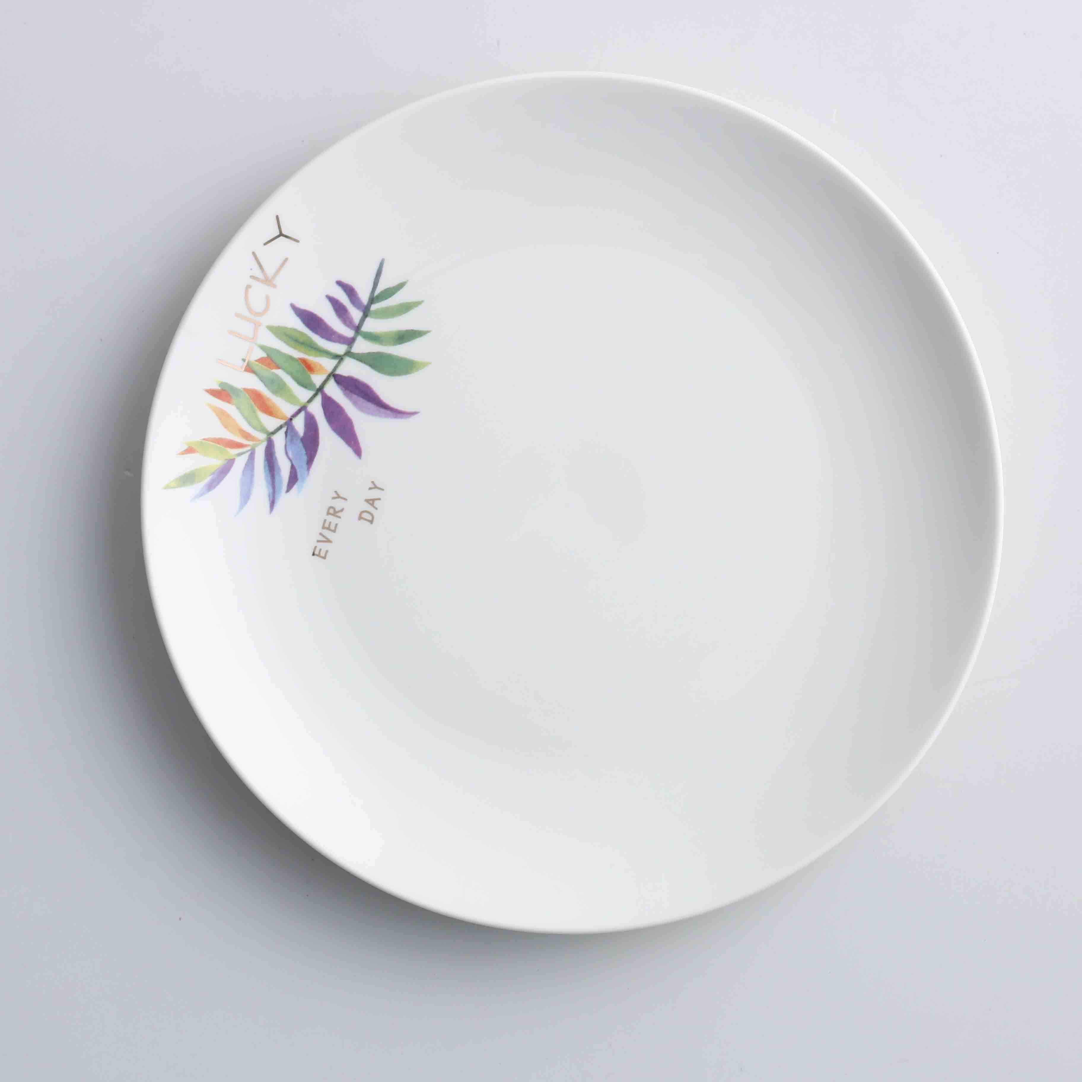 8 inch Round Plate Ceramic Dinner Plate Dish Porce... – Grandado