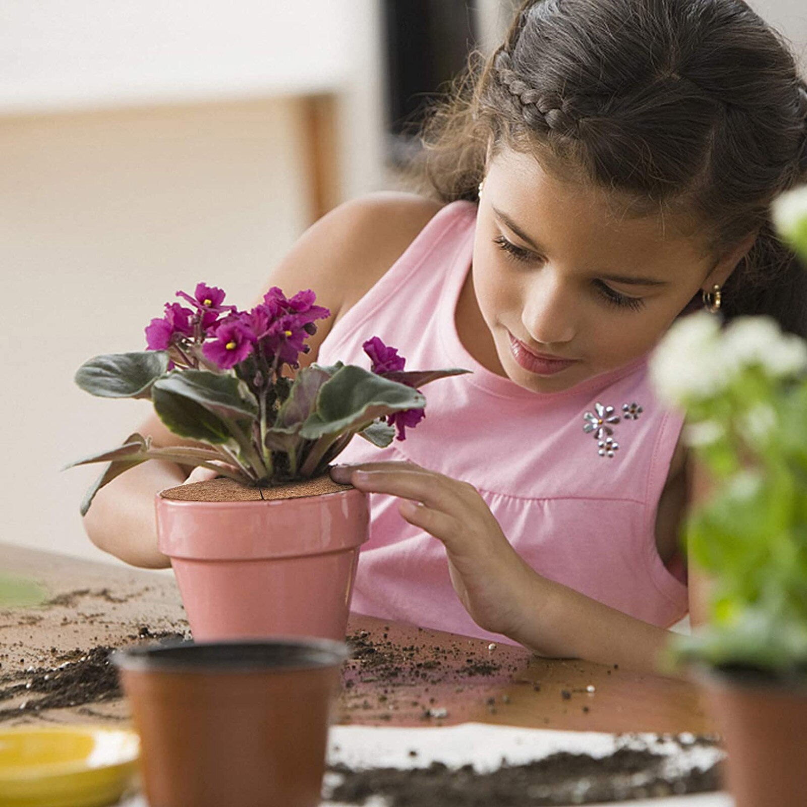 Planter Disc Indoor Outdoor Flower Pot 30cm Balcon... – Grandado