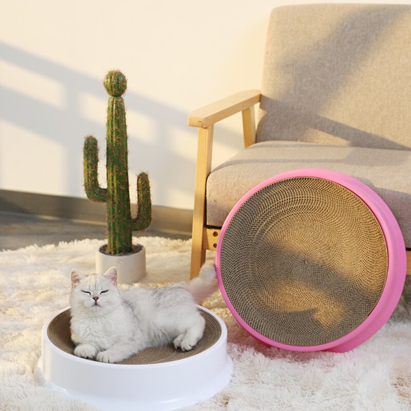 Cat Scraper Cat Claw Care Products Cat Scraper Car... – Grandado