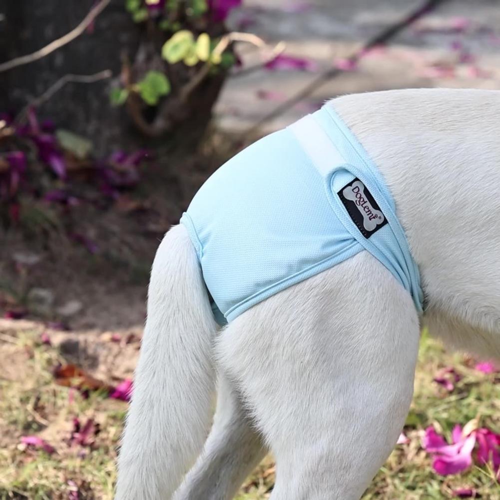 5 Maten Handige Multifunctionele Puppy Shorts Luie... – Grandado