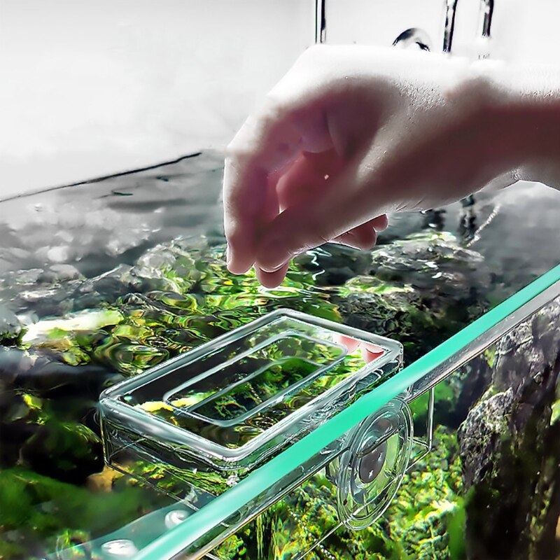 Aquarium Arcylic Vierkante Float Feeder Ring Zuign... – Grandado