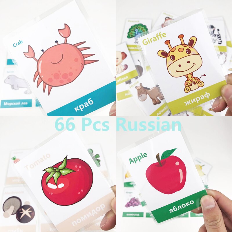 66Pcs Kids Russian& English Animals/Fruit/vegetabl... – Vicedeal