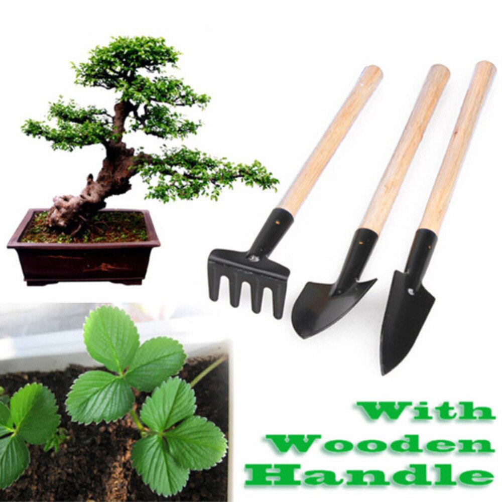 3Pcs Mini Schop Hark Spade Erramientas Bonsai Gere... – Grandado