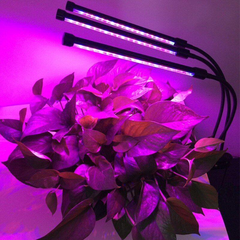LED Grow Light Volledige Spectrum LED Grow Box Pla... – Grandado