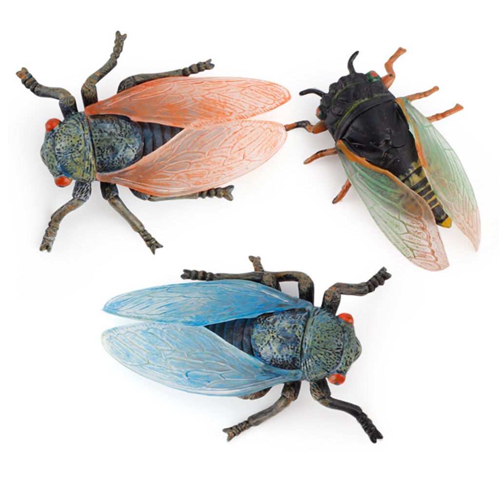 3pcs Mini Simulation Insects Model Cicada Educatio... – Vicedeal