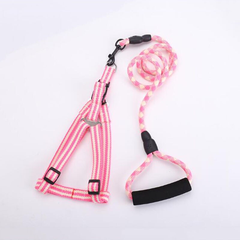 dog leashes dog supplies traction rope small mediu... – Grandado