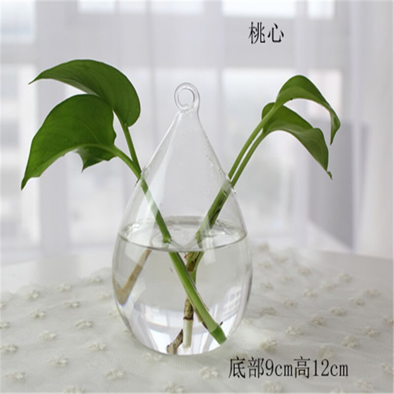 Desk Glass Flower Vase Terrarium Fish Tank Aquariu... – Vicedeal