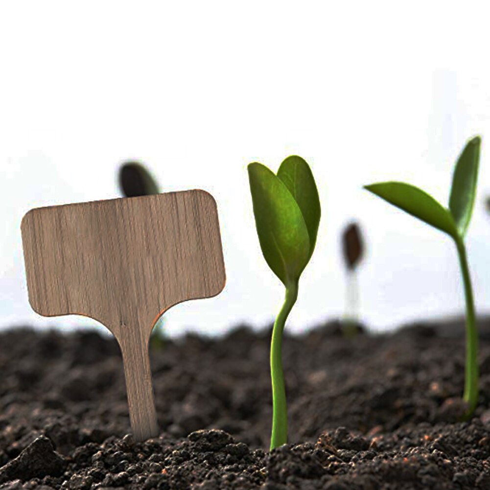 50pcs Vegetables Sign T Type Bamboo Board Farm Mul... – Grandado