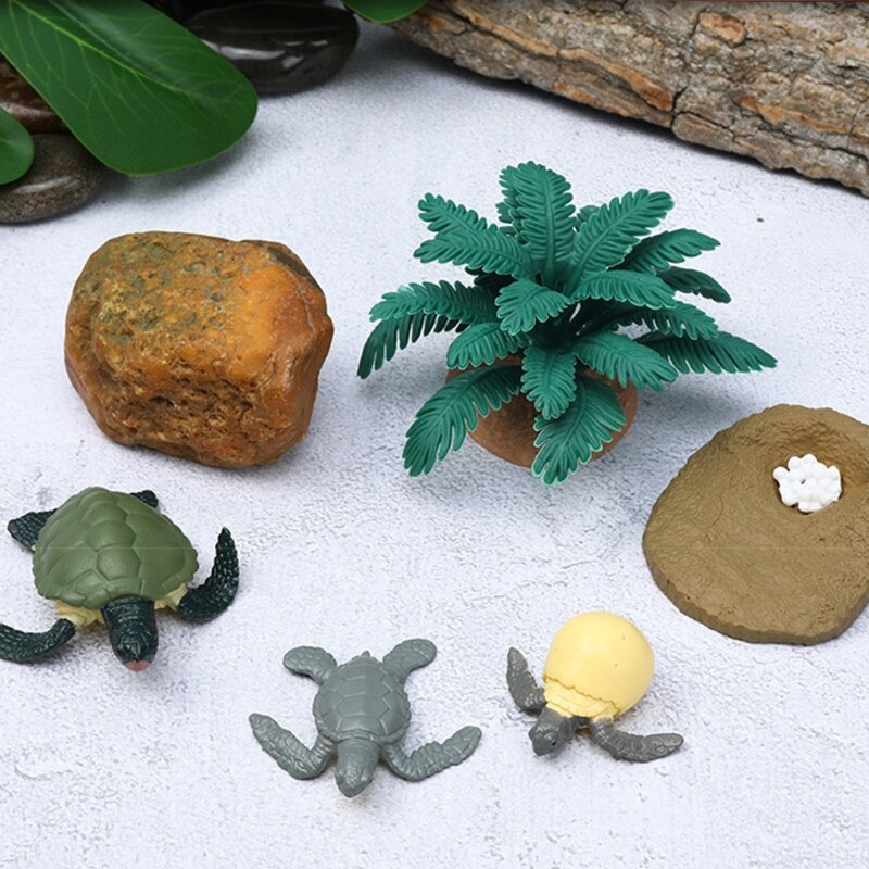 Animal Growth Stage Model Educational Toy Cognitiv... – Grandado