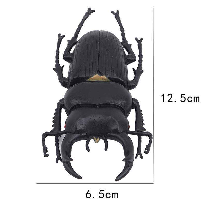 4 Style 13cm Simulation Beetle Toys Special Lifeli... – Grandado