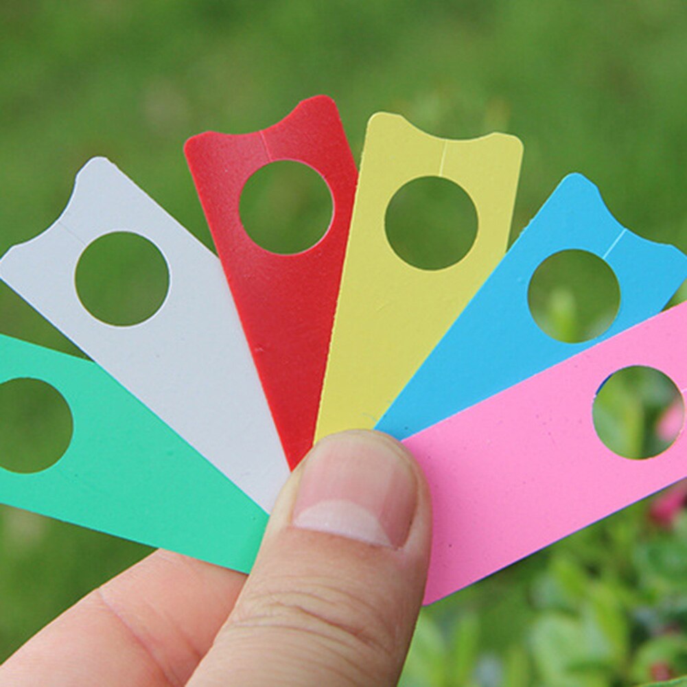 200Pcs/pack Grape Labels Melon Fruit Tags Multifun... – Grandado