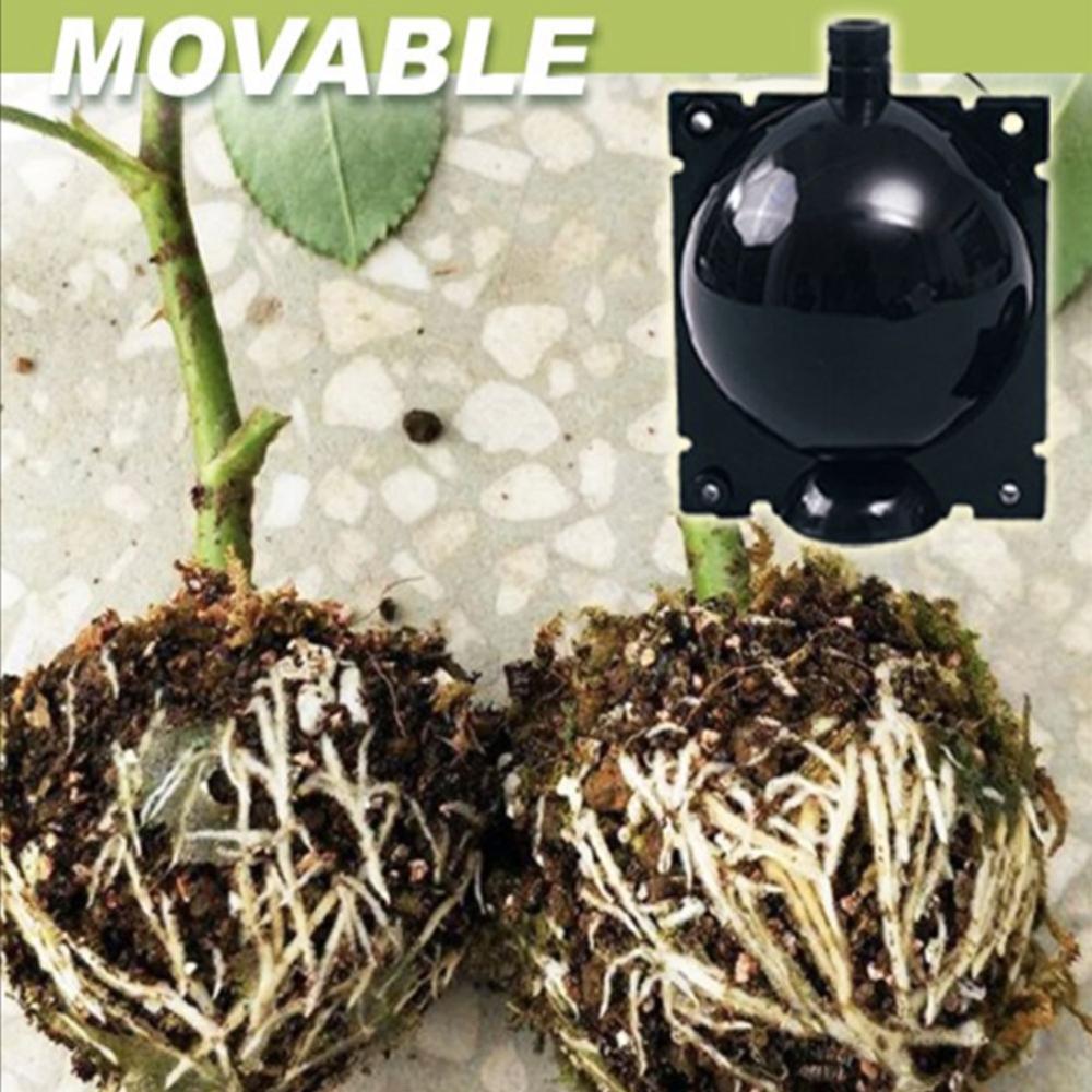 Plant High-pressure Propagation Box Grafting Rooti... – Vicedeal