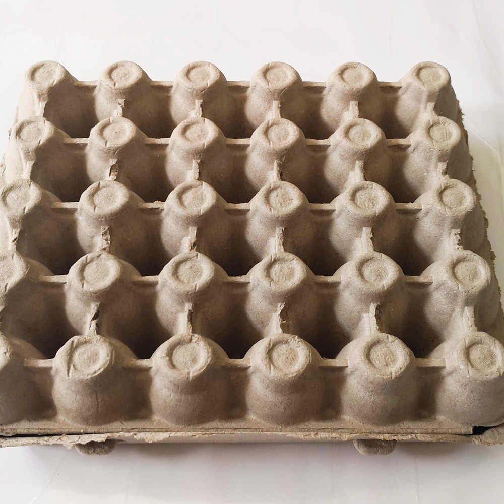 6pcs 30 Cell Pulg Egg Flats Carton With Cover Pape... – Grandado