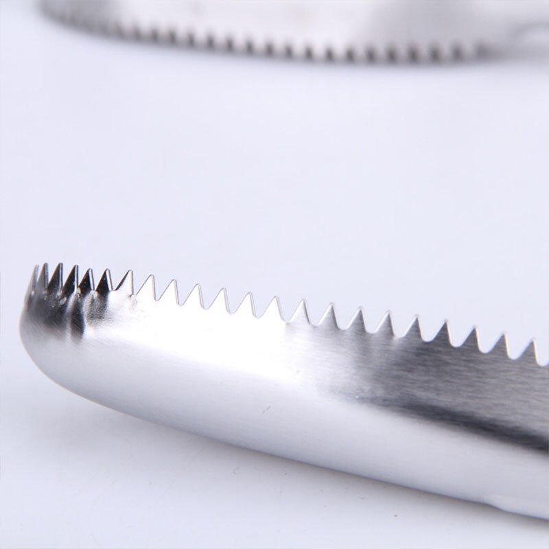 Stainless Steel Portable Fish Scale Brush 1 PCS Cl... – Grandado