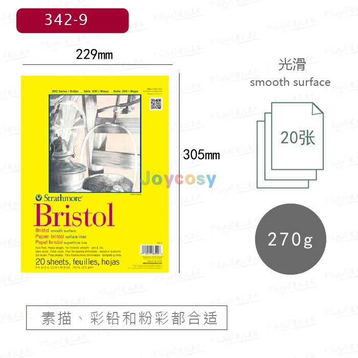 Strathmore 300 Series Bristol Paper, Drawing Paper... – Grandado