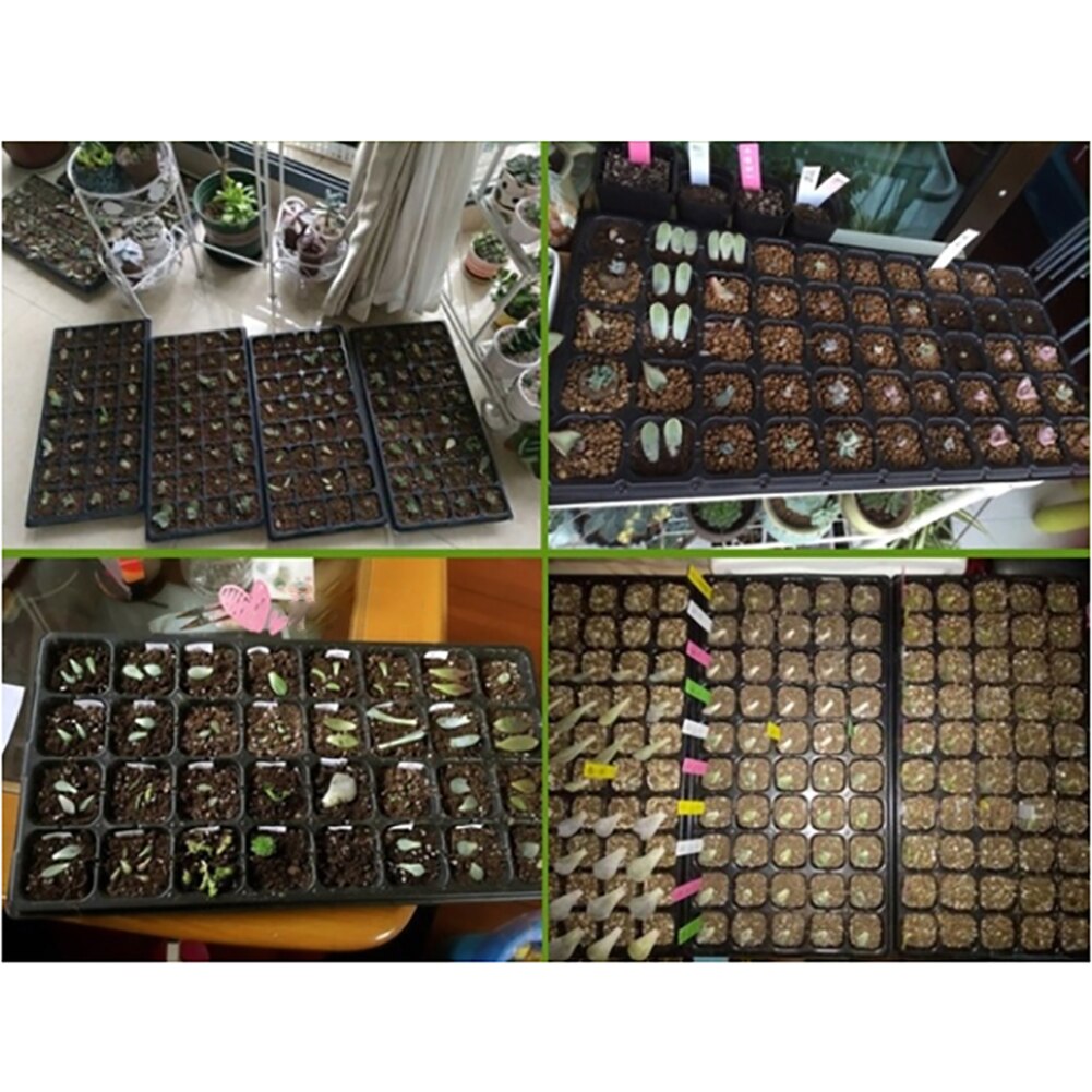 2Pcs 200 Holes Plastic Seedling Starter Tray Plant... – Vicedeal
