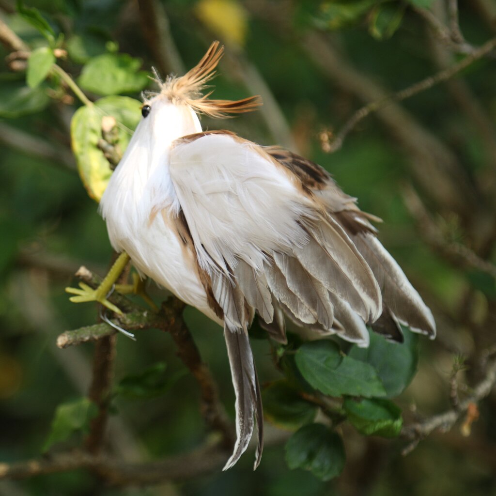 Feathered Artificial Bird Sparrow Durable Mobile S... – Grandado