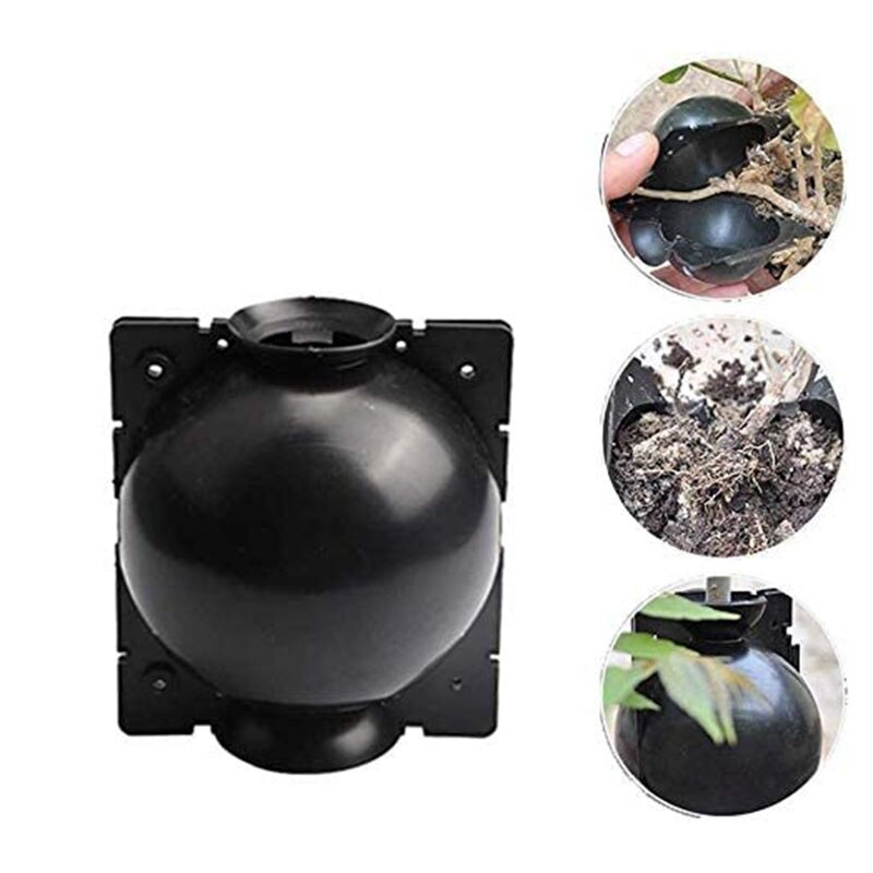 10Pcs Plant High-Pressure Propagation Box Garden T... – Grandado