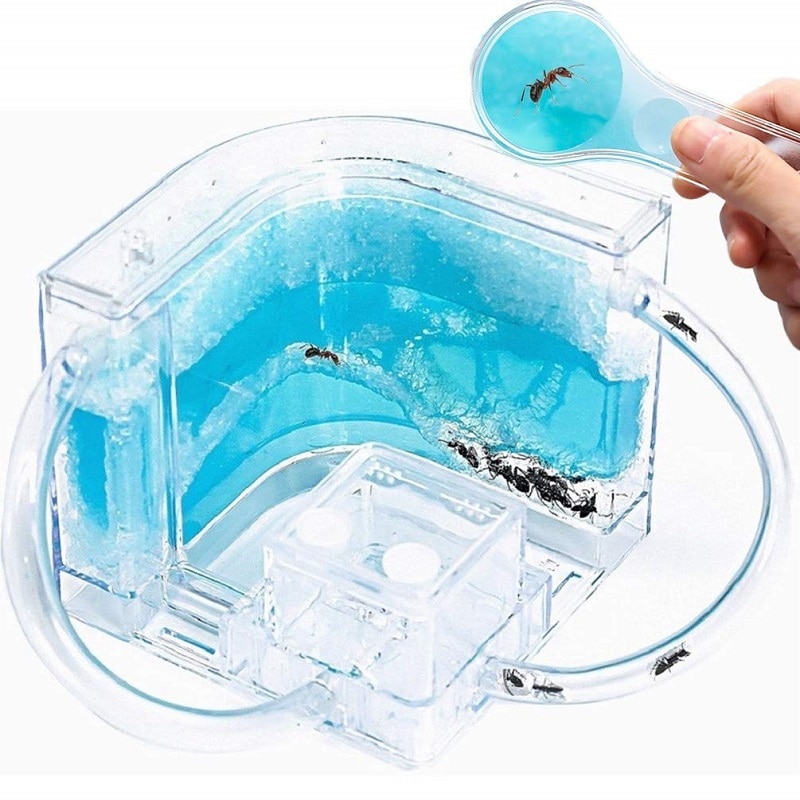 Connecting Ant Farm Castle with Tubes, Habitat Edu... – Vicedeal
