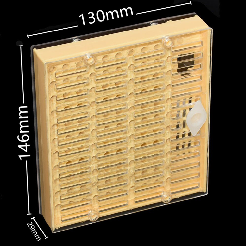 1 Pcs Queen Bee Rearing System Beekeeping Cultivat... – Grandado