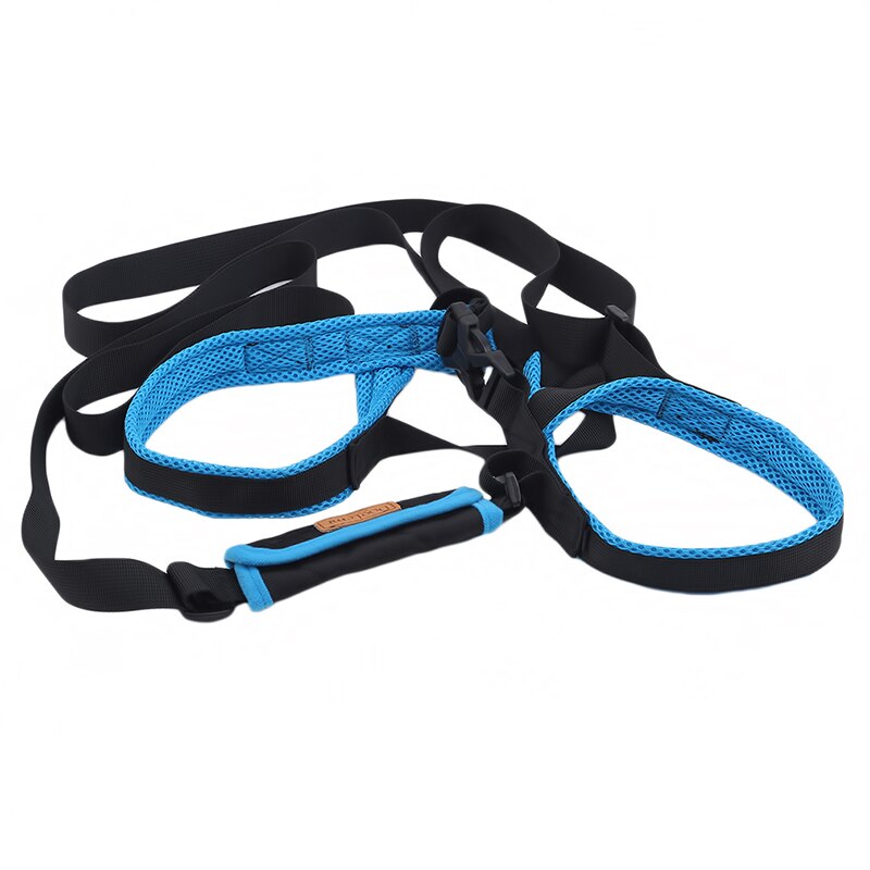 Pet Dog Assist Tool Adjustable Hind Legs Dog Lifti... – Grandado