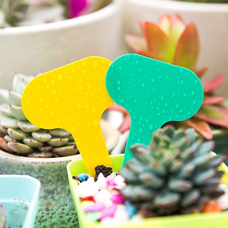 T-Typle Plastic Plant Tags Waterdicht Plant Tuin L... – Vicedeal