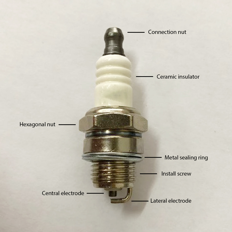 2Pcs Spark Plugs A-BM6 for BM6A BMR6A WS6E WS7E BP... – Grandado