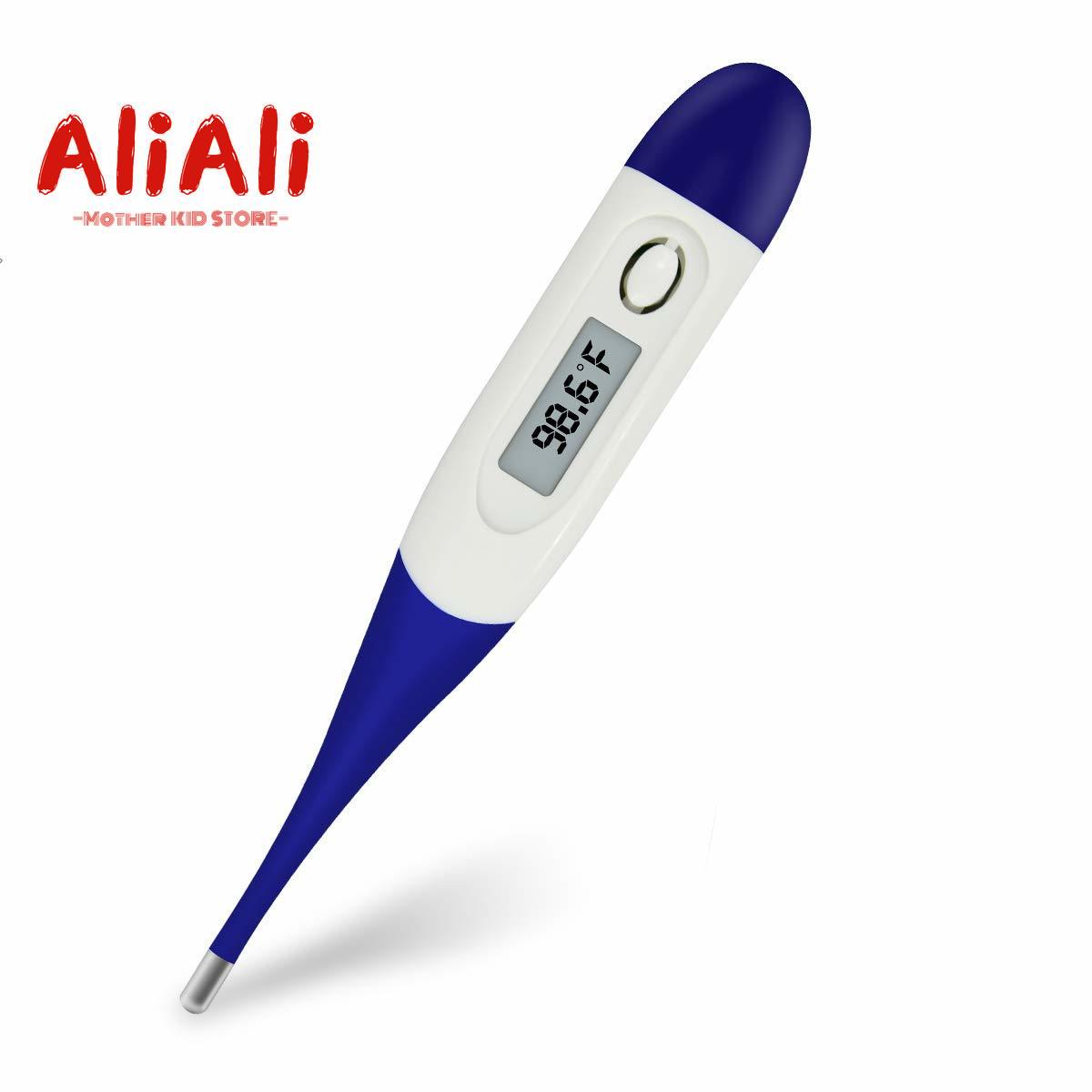 Digital Oral Thermometer, High Precision Temperatu... – Grandado