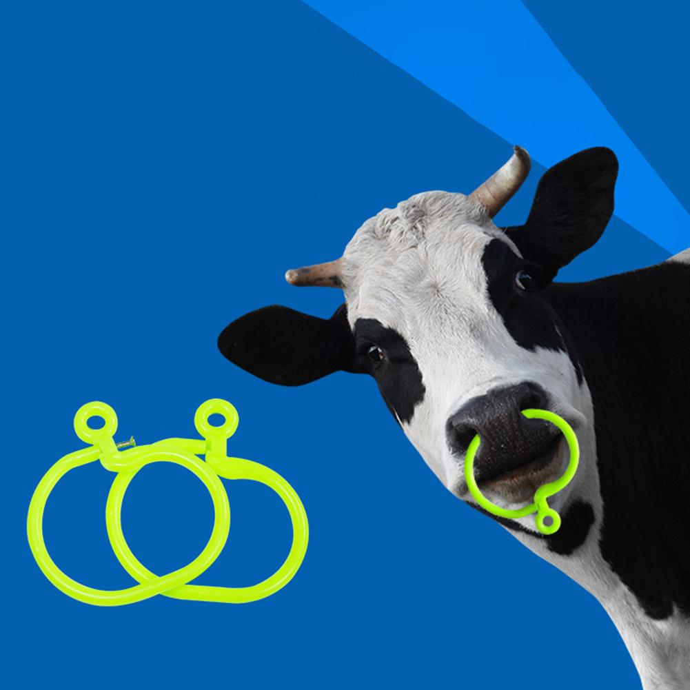 Plastic Cattle Nose Rings Cattle Bull Traction Rin... – Vicedeal