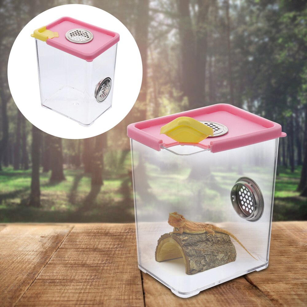 1pc Practical Reptile Feeding Box Acrylic Climbing... – Grandado
