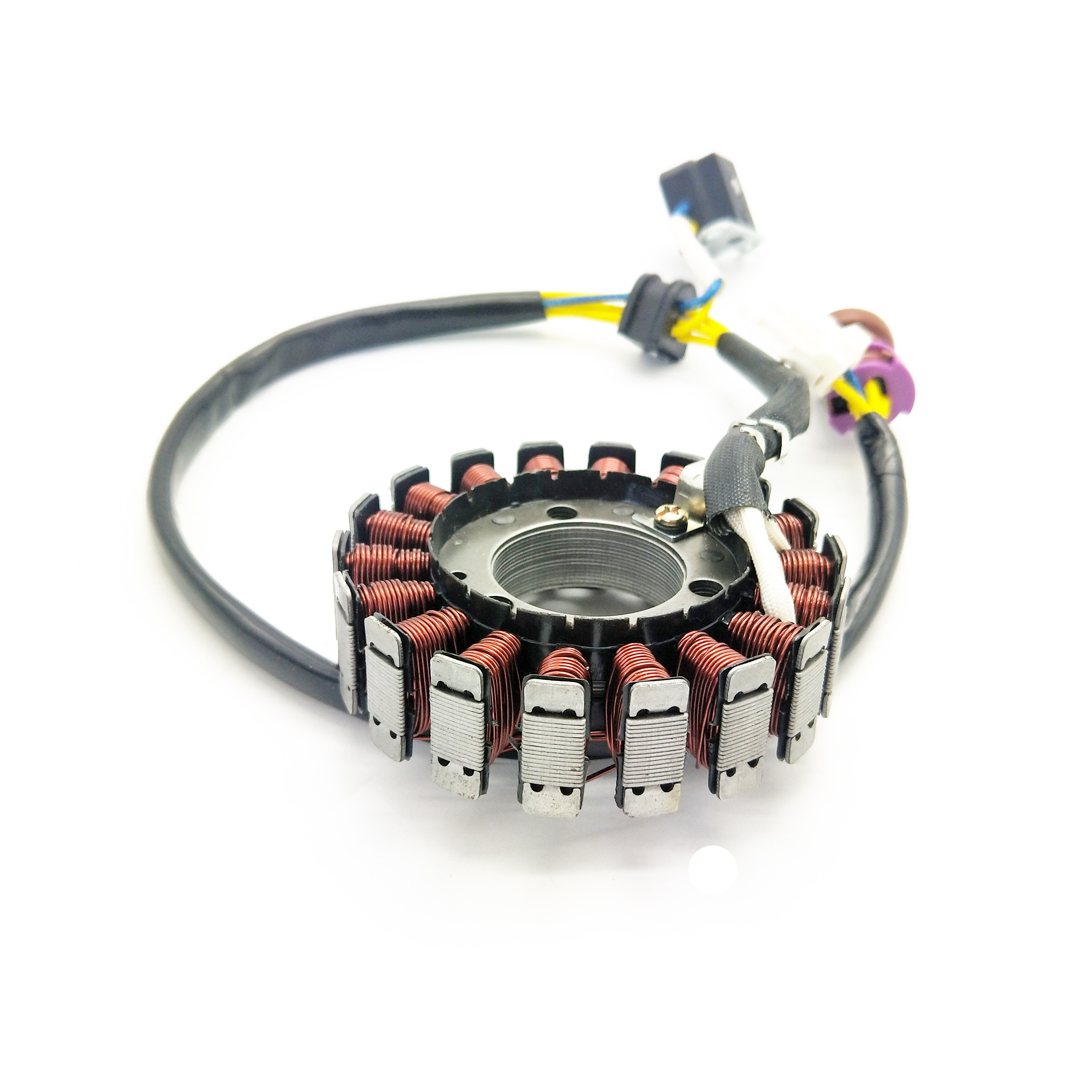 Water Proof Magneto Stator Assy For Buyang Feishen... – Grandado