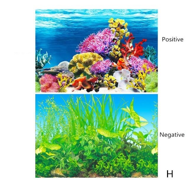 Fish Tank Background Landscape Sticker Glass Conta... – Grandado