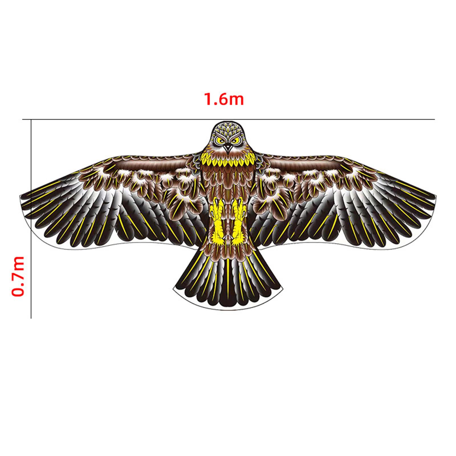 Realistic Eagle Kite Family Outdoor Games for outd... – Grandado
