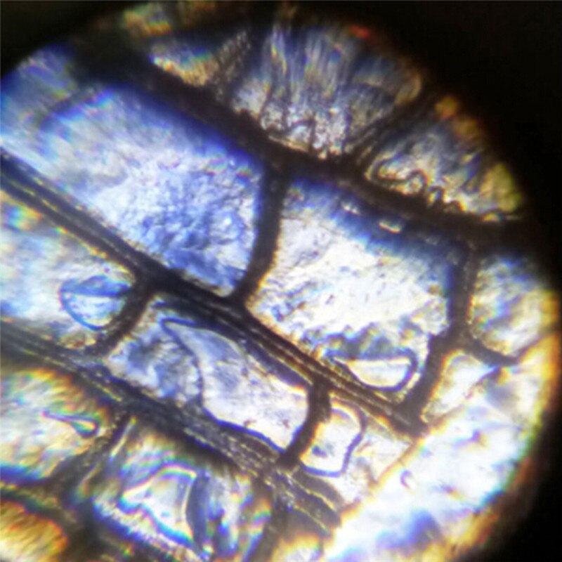 12pcs/set Students Educational Plastic Prepared Mi... – Vicedeal