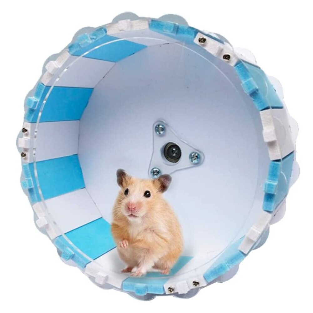 Small Animal Toy Exercise Wheel for Hamsters, Hams... – Grandado